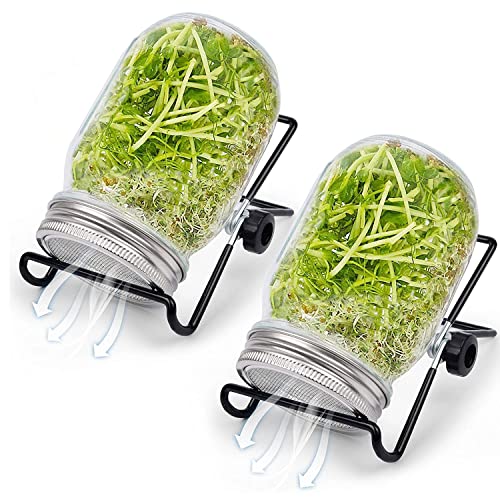 Germinador de semillas Ikea: la solución perfecta para cultivar tu ...