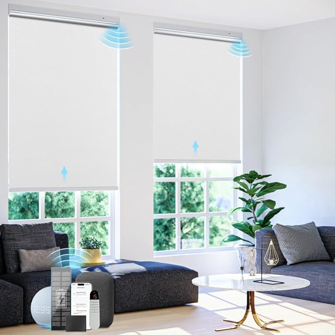 Amazon.com: Motorized Roller Blinds with Remote Control【Solar Panel ...
