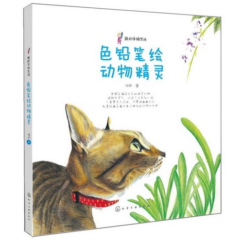 Amazon.com: Pencil Drawing Animals (Chinese Edition): 9787122166265 ...