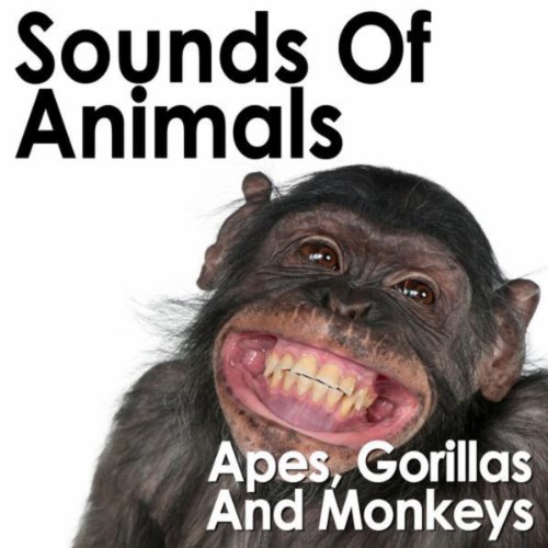 Amazon Music - Pro Sound Effects LibraryのSounds of Animals: Apes ...