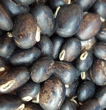 Seedstores : Mucuna Pruriens Velvet Bean Cowitch Raw Black Bengal ...