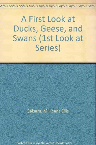 A First Look at Ducks, Geese, and Swans (1st Look at Series): Selsam ...