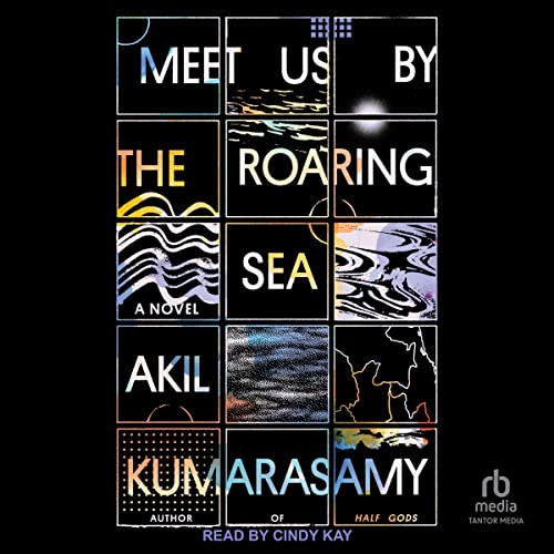 Amazon.com: Meet Us by the Roaring Sea: A Novel (Audible Audio Edition ...