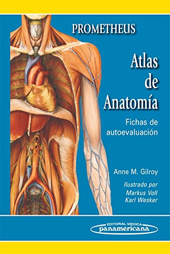 Amazon.fr - Prometheus Atlas de anatomia / Anatomy Flash Cards-Anatomy ...