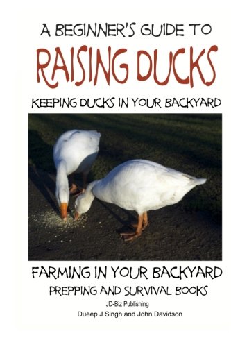 A Beginner's Guide to Keeping Ducks - Keeping Ducks in Your Backyard ...