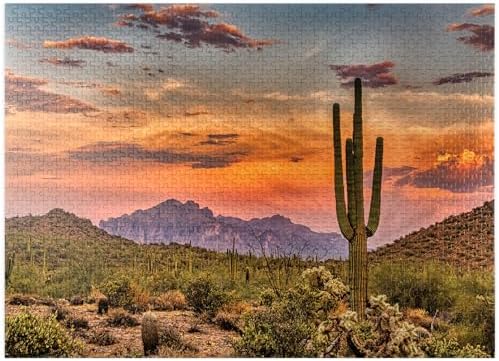 Amazon.com: MyPuzzle Sunset in The Sonoran Desert Near Phoenix, Arizona ...