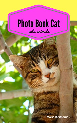 Photo Book Cat : Cute Animals , kitten books , kitten books for kids ...