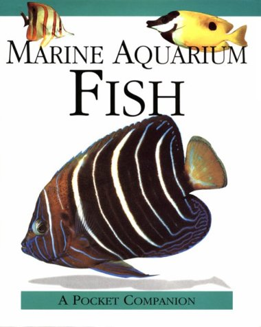 Marine Aquarium Fish (Pocket Companion): Book Sales Inc.: 9780785809678 ...