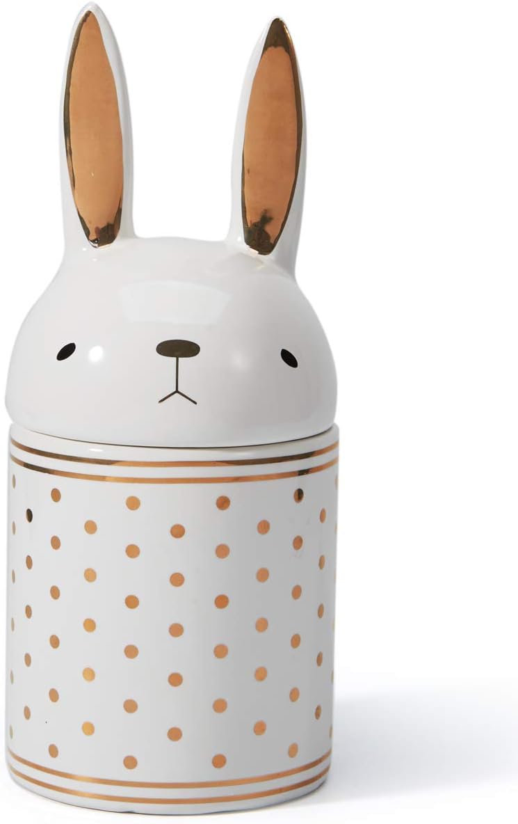 Amazon.com: PRETYZOOM Ceramic Bunny Jar Decorative Easter Canister With ...