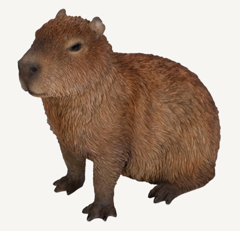 Vivid Arts - Capybara Animal Ornament- PP-CAPY-F : Amazon.co.uk: Garden