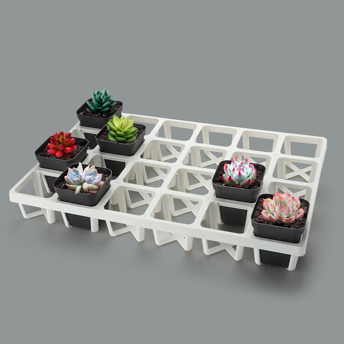 Amazon.com : RooTrimmer 5 Pack Planting Pots Moving Trays for 3 inch(2. ...