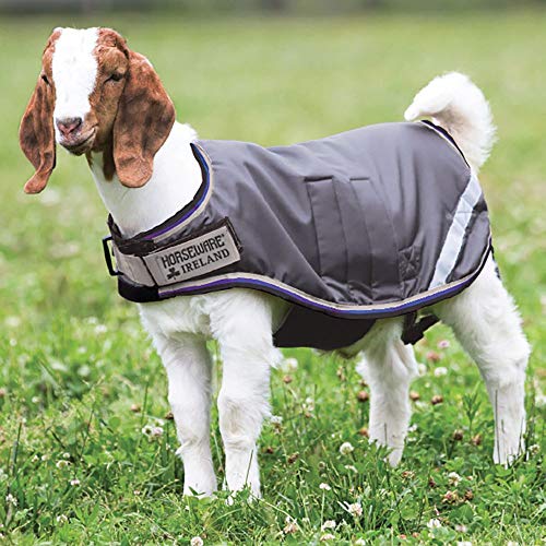 Transform Your Pet's Coat with these Top 10 Mirra-Coat Products: Review ...