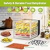 Amazon.com: Food Dehydrator Machine Detachable, 8 Stainless Steel Trays ...