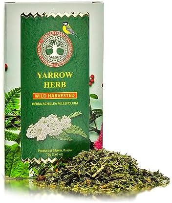 Amazon.com : Yarrow Herb, Wild Harvested, Premium Quality, 2.65 OZ (75 ...