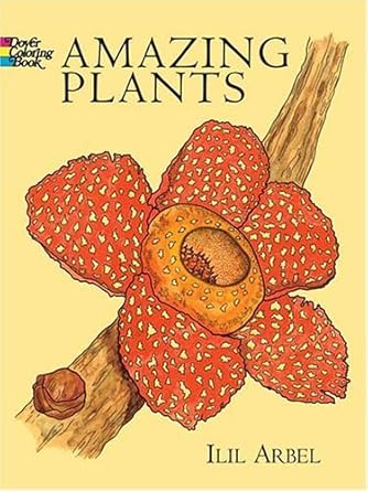 Amazing Plants : Arbel, Ilil: Amazon.de: Bücher