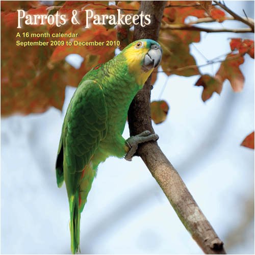 Parrots and Parakeets 2010 Wall Calendar: Magnum: 9781602546363: Amazon ...