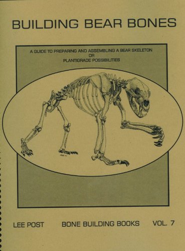 Building Bear Bones: A Guide to Preparing and Assembling a Bear ...