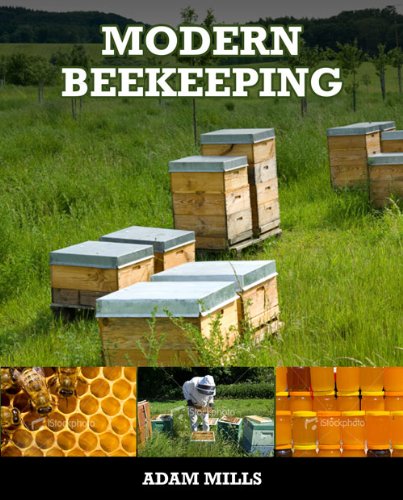 Amazon.com: Modern Beekeeping Secrets - A Complete Course On Backyard ...