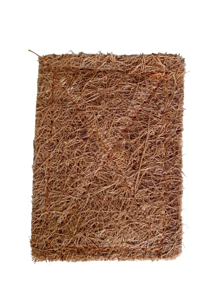Native Indian Organics Coir Dish wash Scrbber Pack of 8 Natural and ...