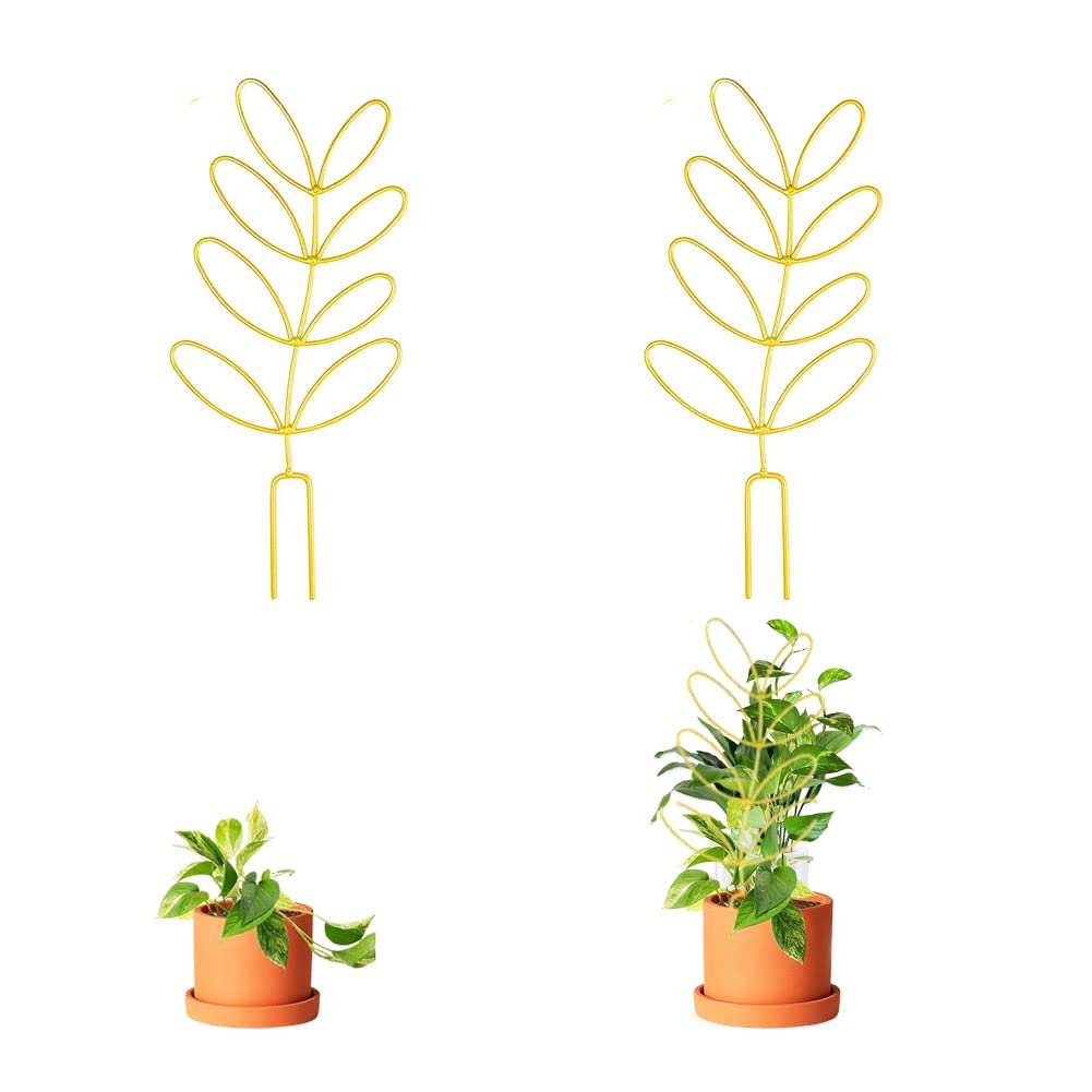 Amazon.com : Leaf Trellis for Climbing Plants Outdoor, 2 Pcs Gold ...