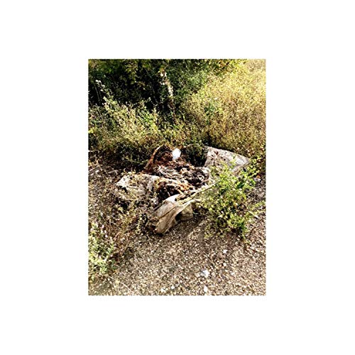 Amazon.com: PSC: Outtakes and Extras from the Original Album : Psc ...