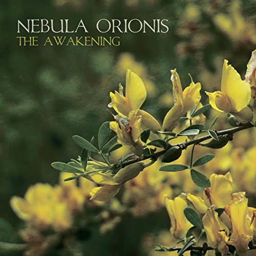 Amazon.com: The Awakening : Nebula Orionis: Digital Music