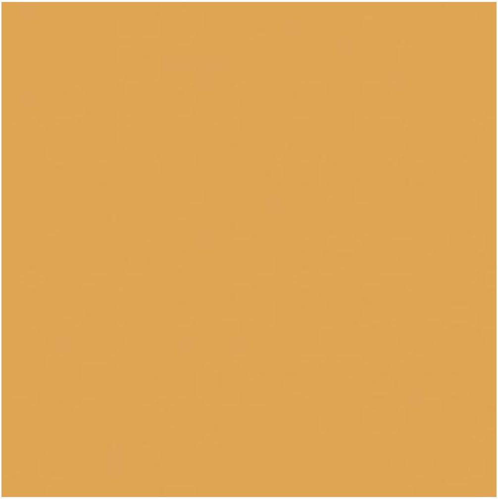 Amazon.com : Rosco Cinegel Roscosun CTO, 20 x 24 inches Color ...