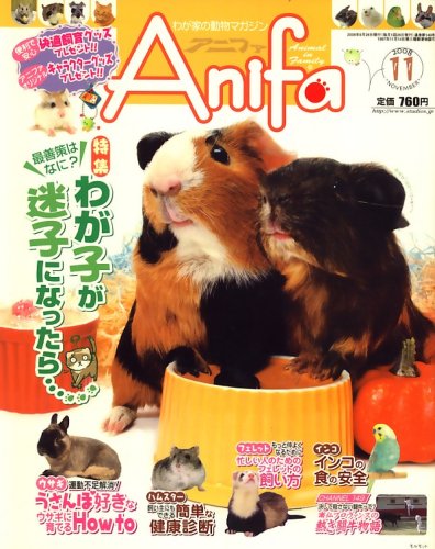 Anifa (アニファ) 2008年 11月号 [雑誌] : Amazon.es: Libros