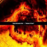 【発売日：2025年07月08日】・製造元:Cyber Sounds (Confoederatio Helvetica)