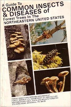 A Guide to Common Insects and Diseases of Forest Trees in the ...