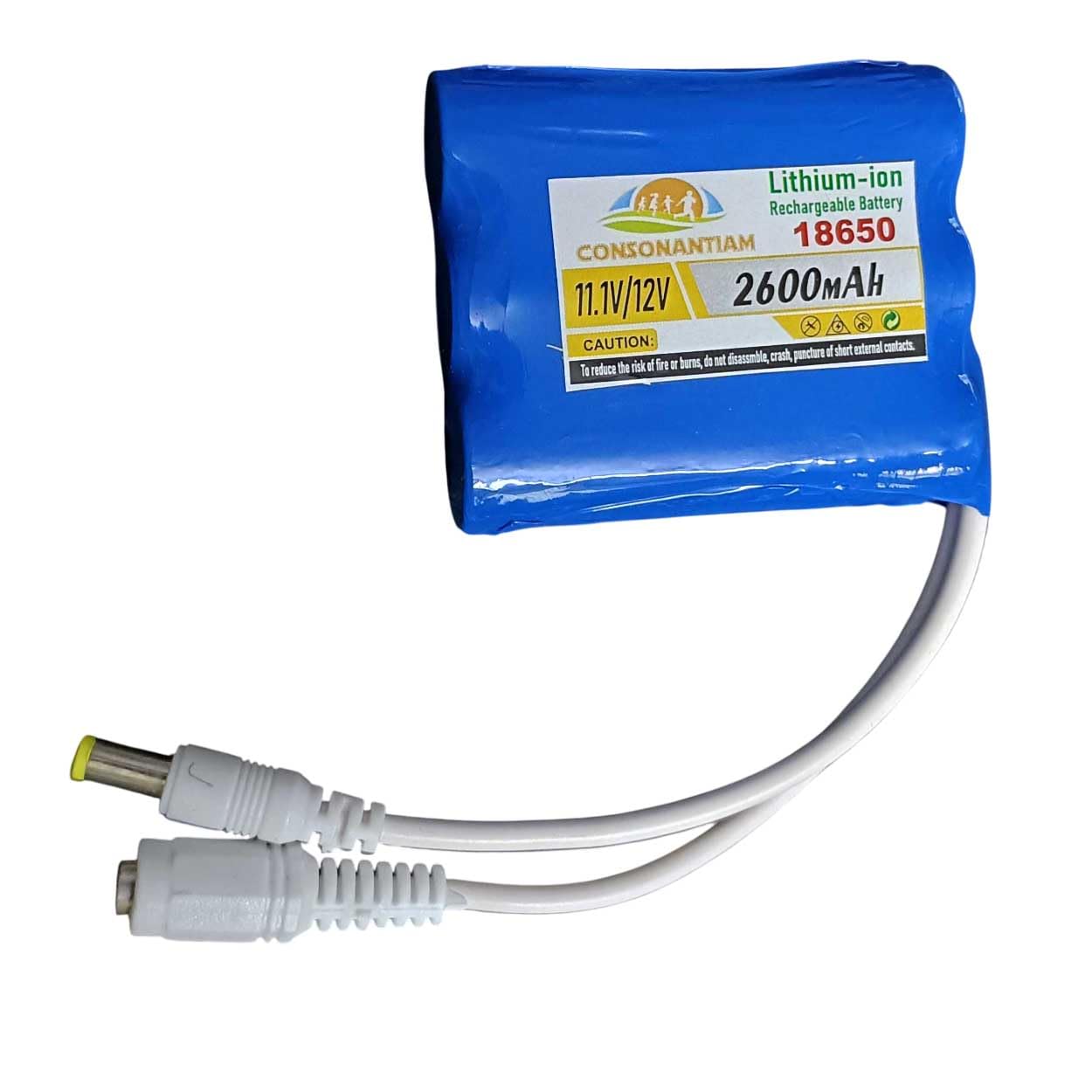 CONSONANTIAM 12 Volt Battery Pack 2600 mAH Full Capacity 18650 Lithium ...