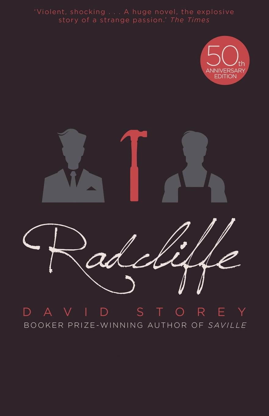Amazon.com: Radcliffe: 9781939140661: Storey, David, Ferrebe, Alice: Books