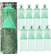 Amazon.com : Qualirey 2 Pack Spotted Lanternfly Traps Lantern Fly ...