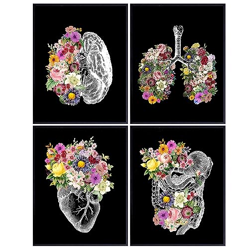 Amazon.com: Human anatomy Decoration LARGE 11x14 - Vintage Flower ...