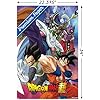 Amazon.com: Trends International Dragon Ball: Super - Group Wall Poster ...