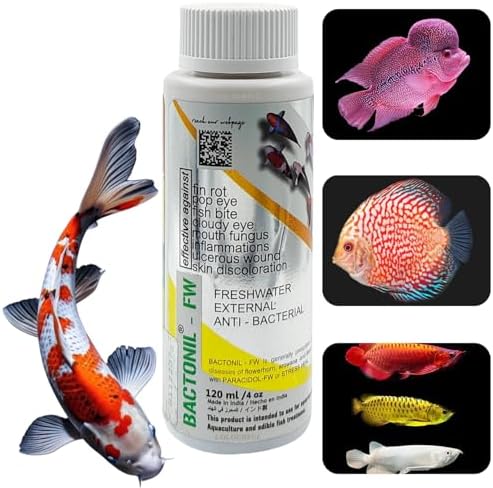 BACTONIL –FW Freshwater Anti-Bacterial Solution for Aquarium Fish | for ...