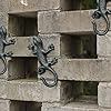 ChasBete Gecko Coat Hooks for Wall, Rustic Cast Iron Key Holder Wall ...