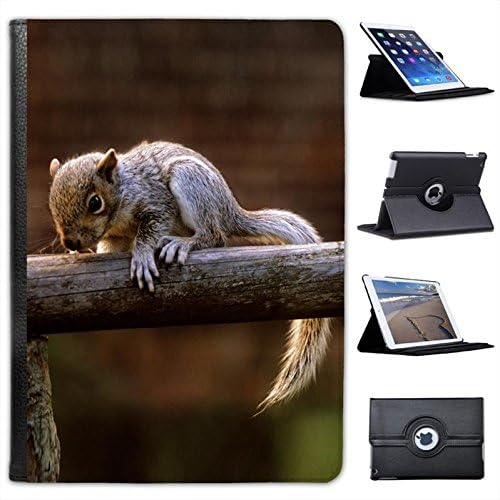 Amazon.com: Grey Squirrel for Apple iPad AIR 2013 Version Faux Leather ...