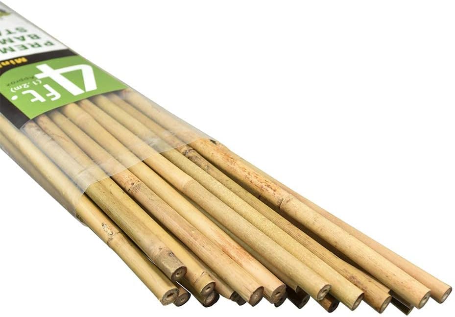 Amazon.com : 6 Feet Long Natural Thick Bamboo Poles - 1.5in - 2in Wide ...