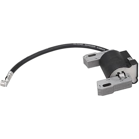 Amazon.com: JEM&JULES Ignition Coil for Briggs& Stratton 691060 799651 ...