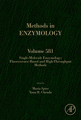 Best Html Css And Javascript Mobile Development For Dummies 2023 Where