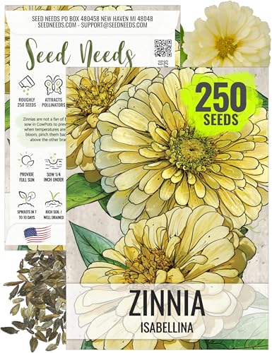 Best Creamy Yellow Isabellina Zinnia Seeds for Your Garden – Complete ...
