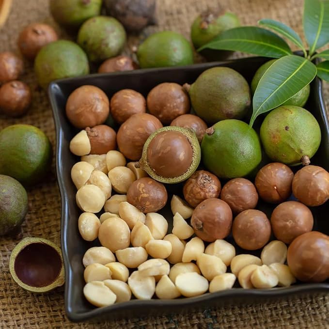 TENDER LEAVES Unique Macadamia Nut Variety Fruit Live Plants & Tree(1-2 ...