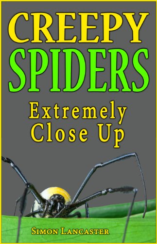 Creepy Spiders Extremely Close Up (Bugs and Spiders Book 2) - Kindle ...