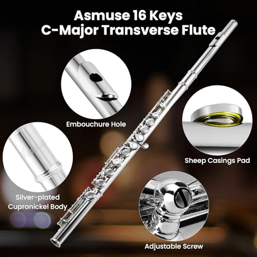 Migliori Flauti Traversi - [ Classifica 2025 ]