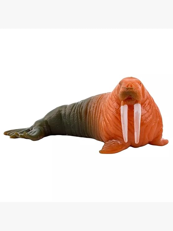 Buy Amitasha Aquatic Animal Toy for Kids Realistic Walrus Fish Squishy ...