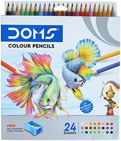 Doms 25 Shades Oil Pastel with Case | Smooth Color Intermixing for ...