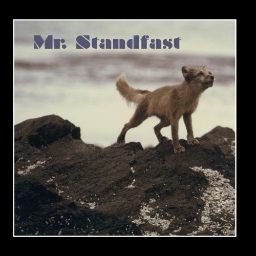 Amazon.com: Mr. Standfast: CDs & Vinyl