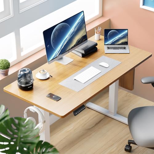 Snapklik.com : 48 Inch Electric Standing Office Desk Height Adjustable ...