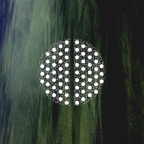 Play Fasca by Scotton Drive feat. Astrid Walker & Julian Walker on ...